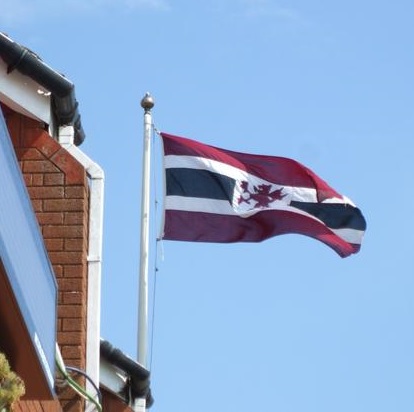 CRICKET FLAG | British County Flags