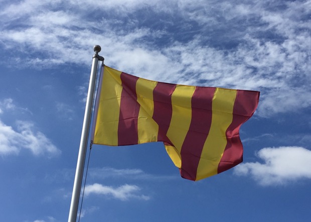 Northumbria | British County Flags