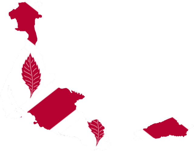 A Flag For Dumbartonshire | British County Flags