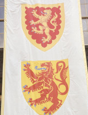 A Flag For Carmarthenshire | British County Flags