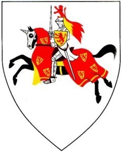 A Flag For Fife | British County Flags